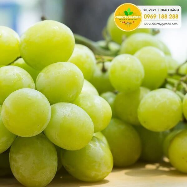 Nho xanh không hạt Úc có đặc điểm gì? Giá nho xanh bao nhiêu? – COUNTRY GARDEN