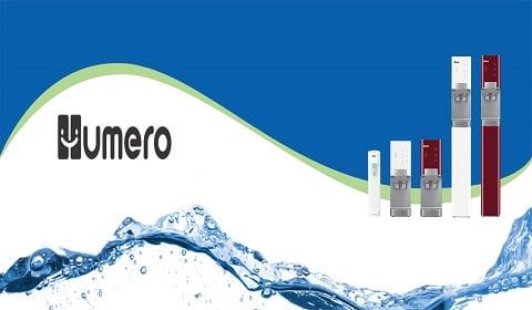 Bài viết mẫu humero