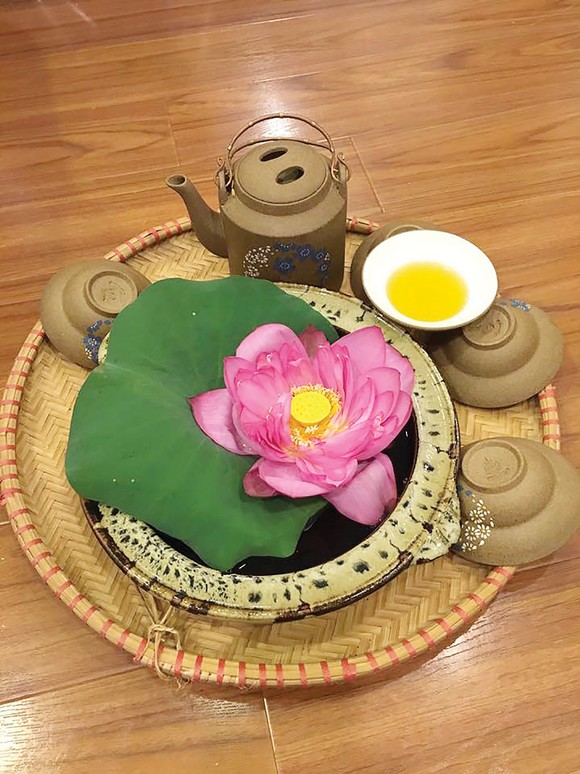 Làng sen Đồng Tháp và những sản phẩm độc đáo từ sen