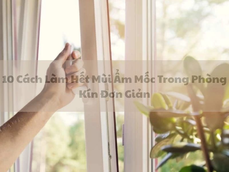 10 Cách Làm Hết Mùi Ẩm Mốc Trong Phòng Kín Đơn Giản – Dorosin