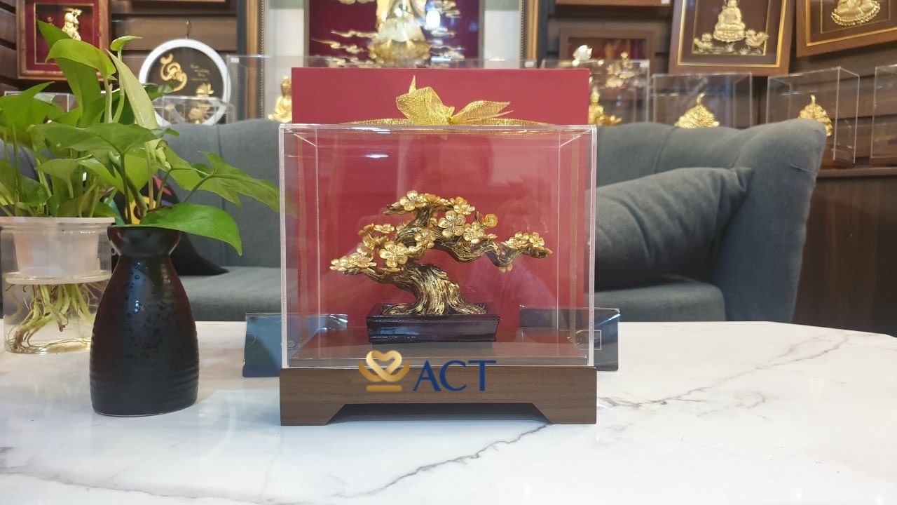 Chậu Mai Dát Vàng 24K - Nét Đẹp Sang Trọng và Tinh Tế - ACT GOLD