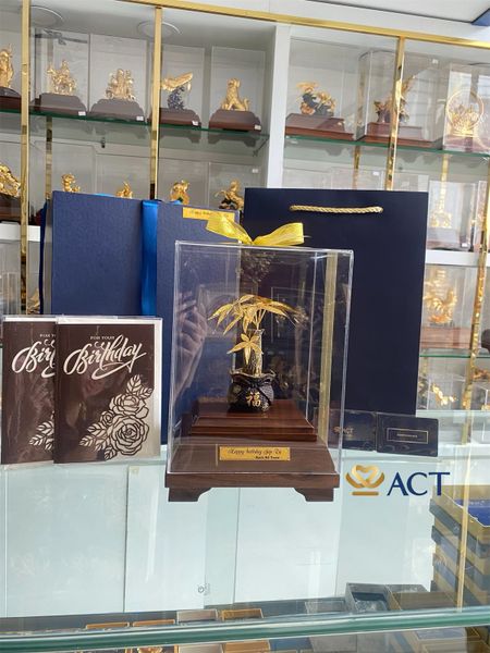 Chậu hút tài lộc cho người mệnh Thổ “phất lên như diều gặp gió” - ACT GOLD