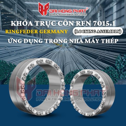 KHÓA TRỤC RFN 7110 RINGFEDER GERMANY LOCKING ASSEMBLY) ỨNG DỤNG TRONG