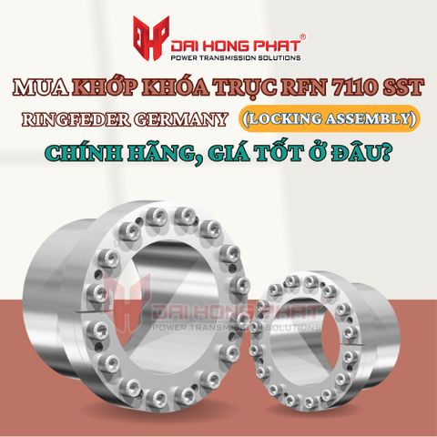 TÌM HIỂU VỀ KHỚP KHÓA TRỤC RINGFEDER RFN 7003 (LOCKING ASSEMBLY)