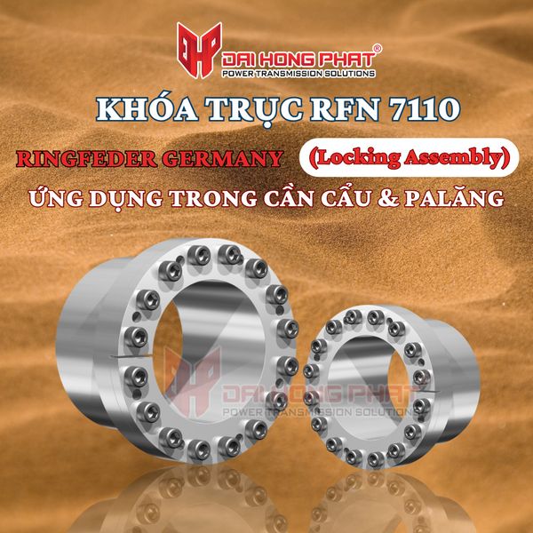 KHÓA TRỤC RFN 7110 RINGFEDER GERMANY LOCKING ASSEMBLY) ỨNG DỤNG TRONG