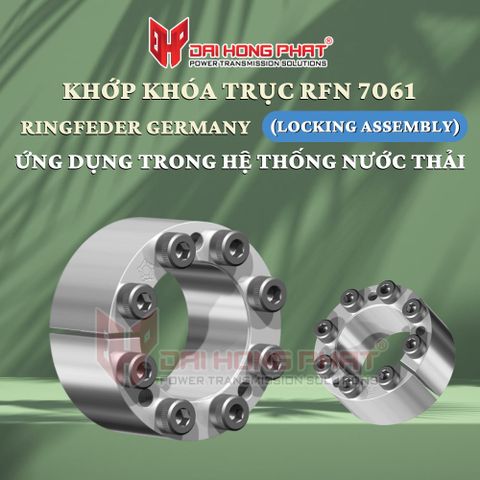 KHÓA TRỤC RFN 7110 RINGFEDER GERMANY LOCKING ASSEMBLY) ỨNG DỤNG TRONG