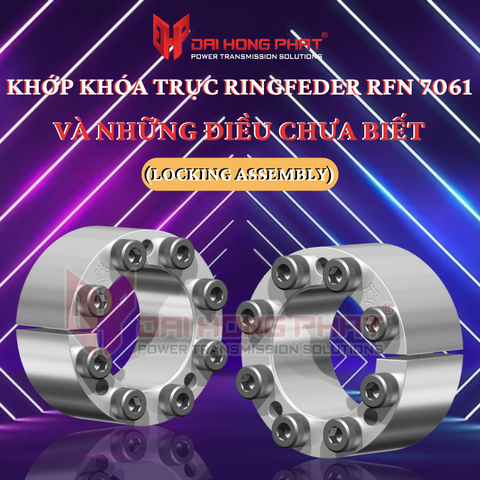 MUA KHÓA TRỤC RINGFEDER RFN 7110 (LOCKING ASSEMBLY) TẠI HỒ CHÍ MINH