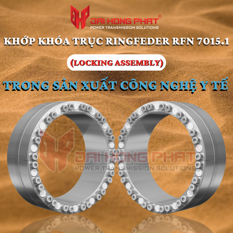 MUA KHÓA TRỤC RINGFEDER RFN 7110 (LOCKING ASSEMBLY) TẠI HỒ CHÍ MINH