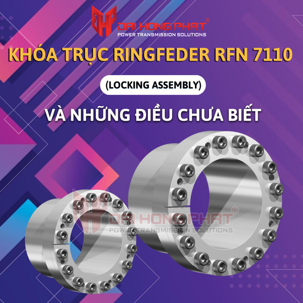 KHÓA TRỤC RINGFEDER RFN 7110 VÀ NHỮNG ĐIỀU CHƯA BIẾT?