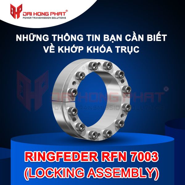 NHỮNG THÔNG TIN BẠN CẦN BIẾT VỀ KHỚP KHÓA TRỤC RINGFEDER RFN 7003