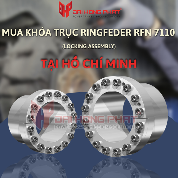 MUA KHÓA TRỤC RINGFEDER RFN 7110 (LOCKING ASSEMBLY) TẠI HỒ CHÍ MINH