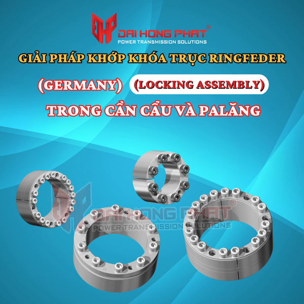 GIẢI PHÁP KHỚP KHÓA TRỤC RINGFEDER (GERMANY) TRONG CẦN CẨU & PALĂNG