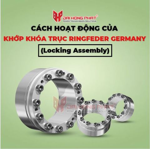 CÁCH HOẠT ĐỘNG KHỚP KHÓA TRỤC RINGFEDER GERMANY