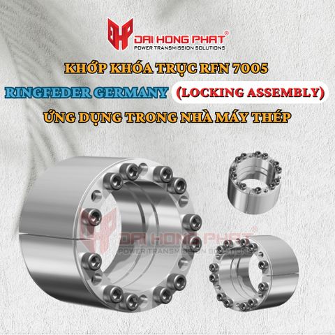 GIẢI PHÁP KHỚP KHÓA TRỤC RFN 7012 RINGFEDER GERMANY (LOCKING ASSEMBLY)