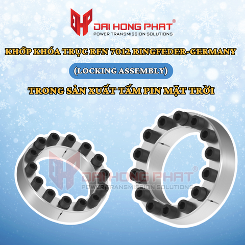 KHỚP KHÓA TRỤC RINGFEDER RFN 7007 - LOCKING ASSEMBLY