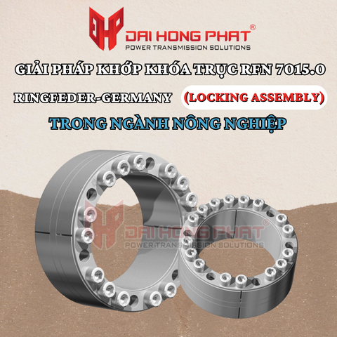 KHỚP KHÓA TRỤC RINGFEDER RFN 7003 - LOCKING ASSEMBLY