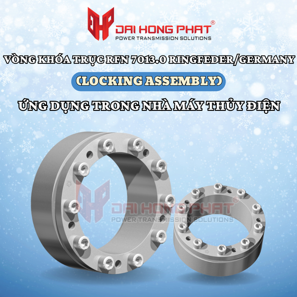 VÒNG KHÓA TRỤC RFN 7013.0 RINGFEDER/GERMANY (LOCKING ASSEMBLY) ỨNG DỤ