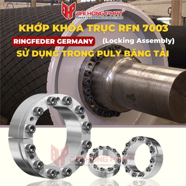 KHỚP KHOÁ TRỤC RFN 7003 RINGFEDER GERMANY (LOCKING ASSEMBLY) SỬ DỤNG T