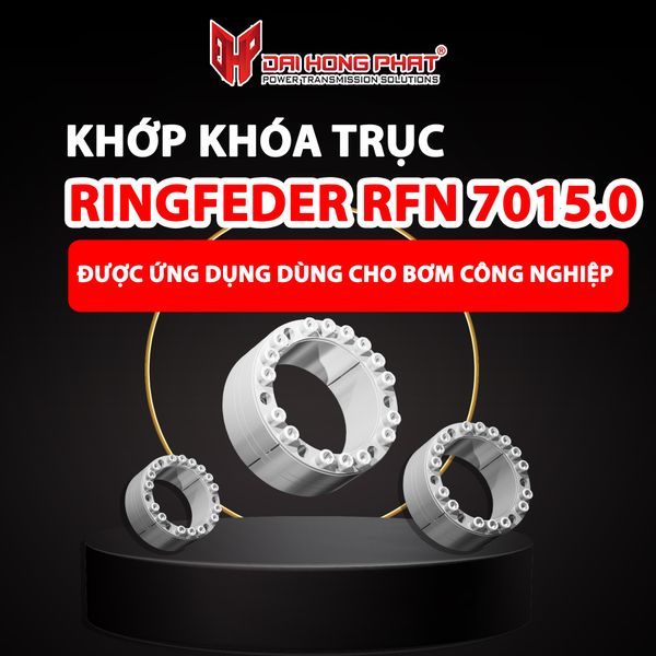 KHỚP KHÓA TRỤC RINGFEDER RFN 7015.0 ỨNG DỤNG BƠM CÔNG NGHIỆP