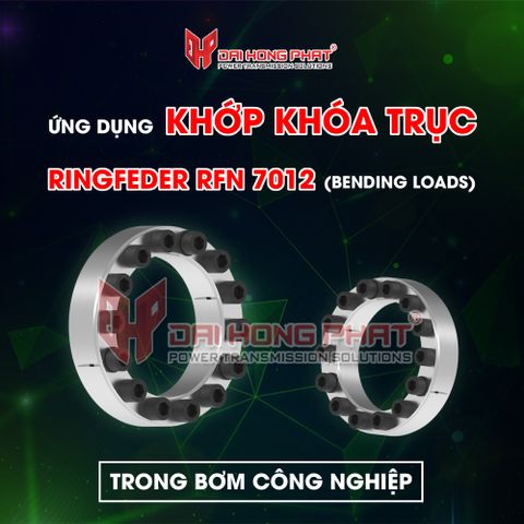 ỨNG DỤNG CỦA KHỚP KHÓA TRỤC RINGFEDER RFN 7005 (LOCKING ASSEMBLY)