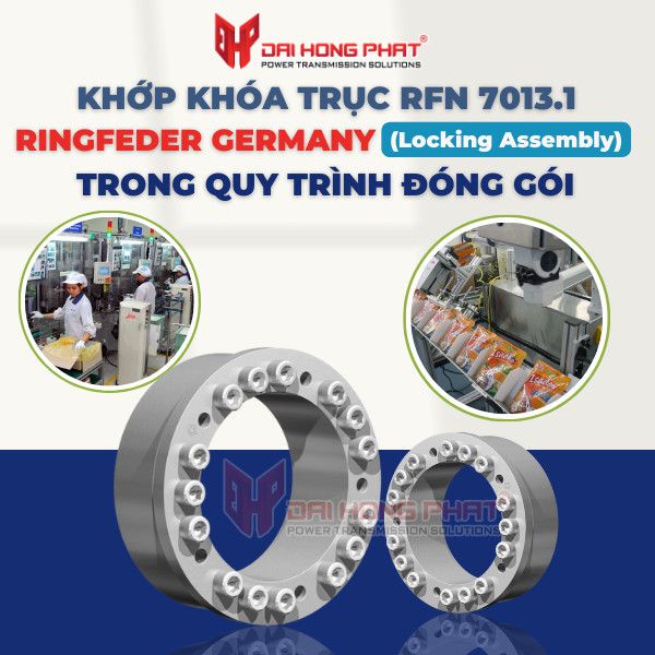 KHÓA TRỤC RFN 7013.1 RINGFEDER GERMANY TRONG QUY TRÌNH ĐÓNG GÓI
