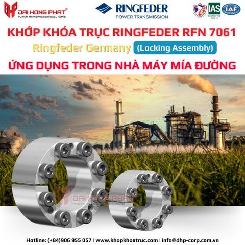 KHỚP KHÓA TRỤC RINGFEDER RFN 7003 - LOCKING ASSEMBLY