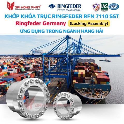 Khớp Khóa Trục Ringfeder RfN 7012 - Locking Assembly