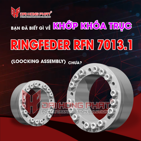 CÁCH LẮP ĐẶT KHỚP KHÓA TRỤC RINGFEDER RFN 7012.2 (LOCKING ASSEMBLY)