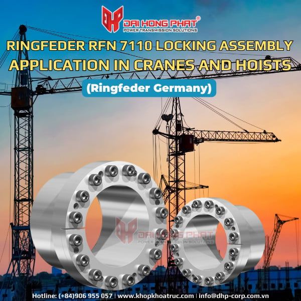 RINGFEDER RFN 7110 LOCKING ASSEMBLY APPLICATION IN CRANES AND HOISTS
