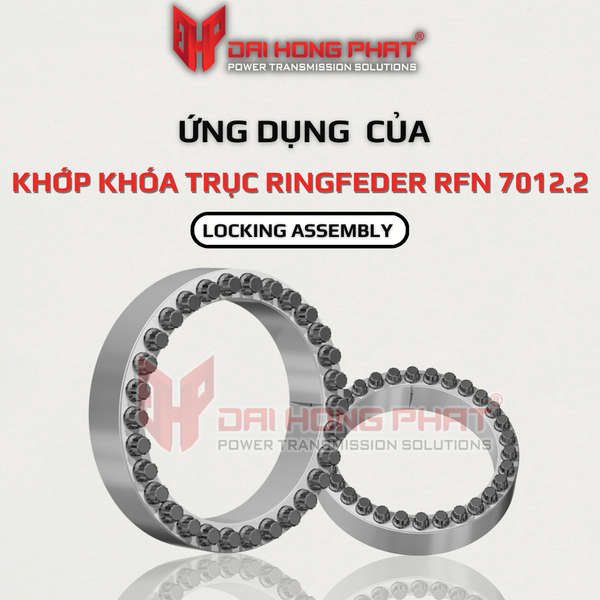 ỨNG DỤNG CỦA KHỚP KHÓA TRỤC RINGFEDER RFN 7012.2 (LOCKING ASSEMBLY)