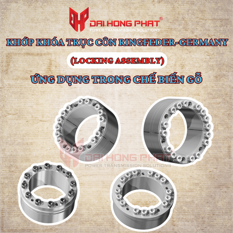 KHỚP KHÓA TRỤC RINGFEDER RFN 7003 - LOCKING ASSEMBLY