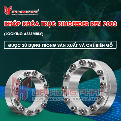 ỨNG DỤNG KHỚP KHÓA TRỤC RINGFEDER RFN 7007 TRONG BƠM CÔNG NGHIỆP