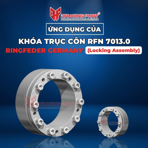 ỨNG DỤNG CỦA KHÓA TRỤC CÔN RFN 7013.0 RINGFEDER GERMANY