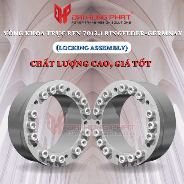 VÒNG KHÓA TRỤC RFN 7013.1 RINGFEDER-GERMANY (LOCKING ASSEMBLY) CHẤT LƯ