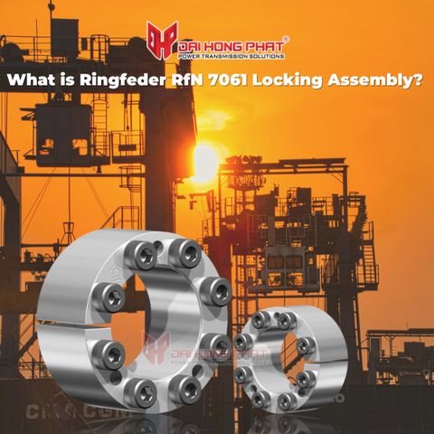 Khớp Khóa Trục Ringfeder RfN 7012 - Locking Assembly