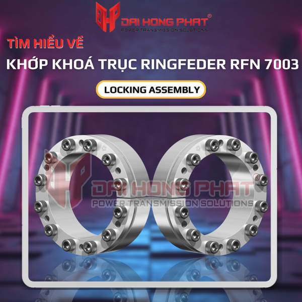 TÌM HIỂU VỀ KHỚP KHÓA TRỤC RINGFEDER RFN 7003 (LOCKING ASSEMBLY)