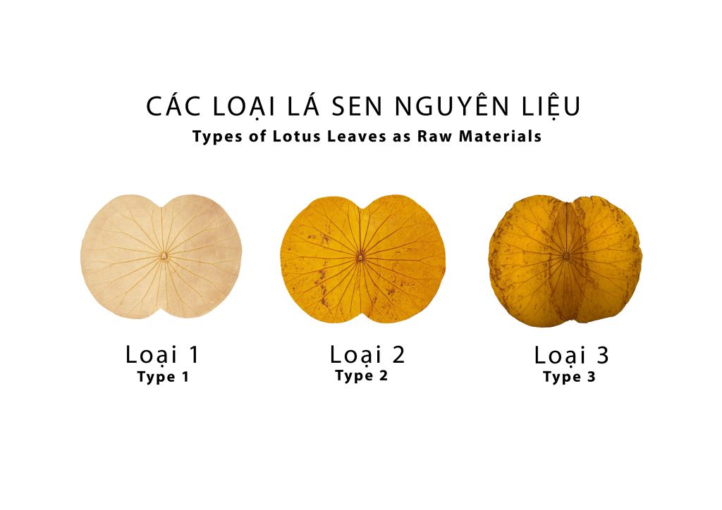 LOTUS LEAF MATERIAL – Ecolotus