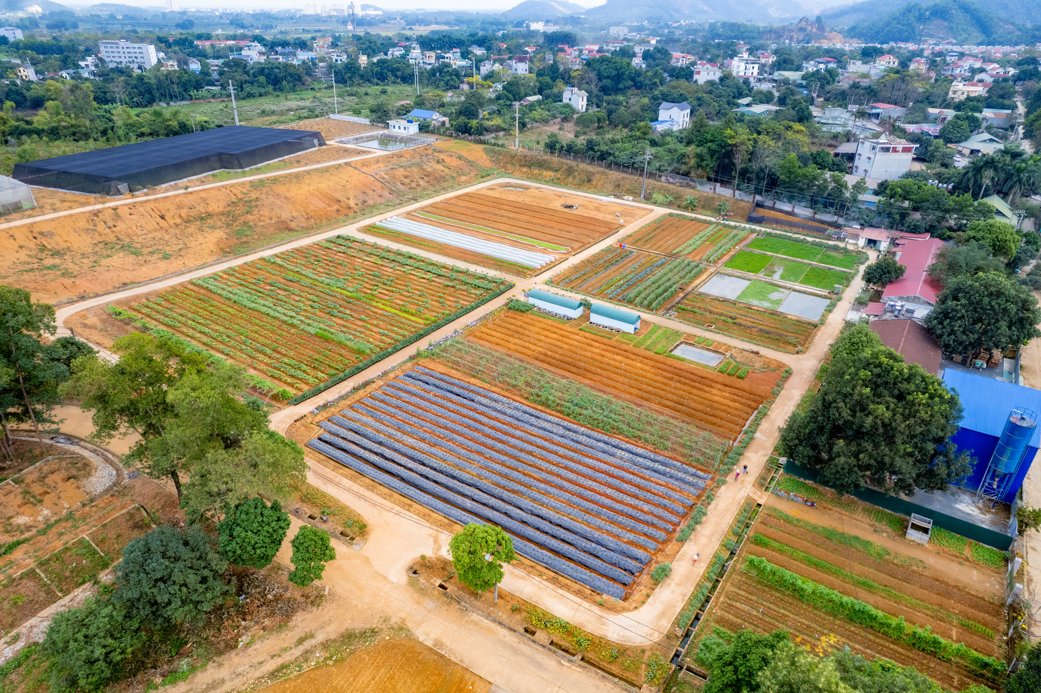 B-Farm Organic - Nông trại Hữu cơ chất lượng cao tại Hà Nội – CÔNG TY ...