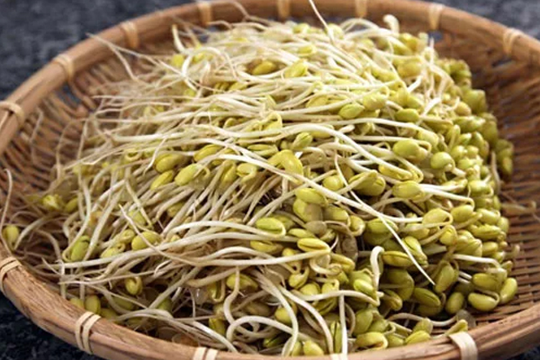 Giải đáp thắc mắc thường gặp khi sử dụng mầm đậu nành – Giá Sỉ Đây