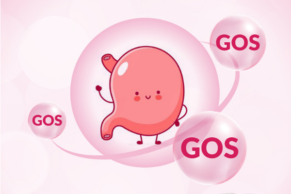GOS là gì? Vai trò của GOS đối với sức khỏe – Giá Sỉ Đây