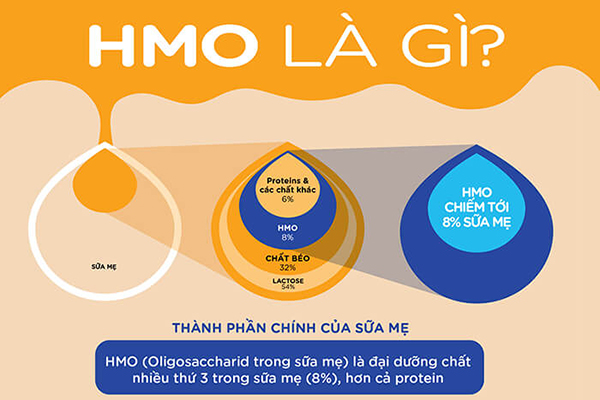 Sữa công thức chứa HMO có vai trò gì? – Giá Sỉ Đây