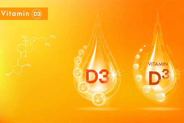 Vitamin D3 nên uống thời điểm nào là tốt nhất? – Giá Sỉ Đây