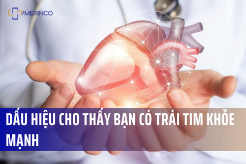 Dấu hiệu cho thấy bạn có trái tim khỏe mạnh – Merinco