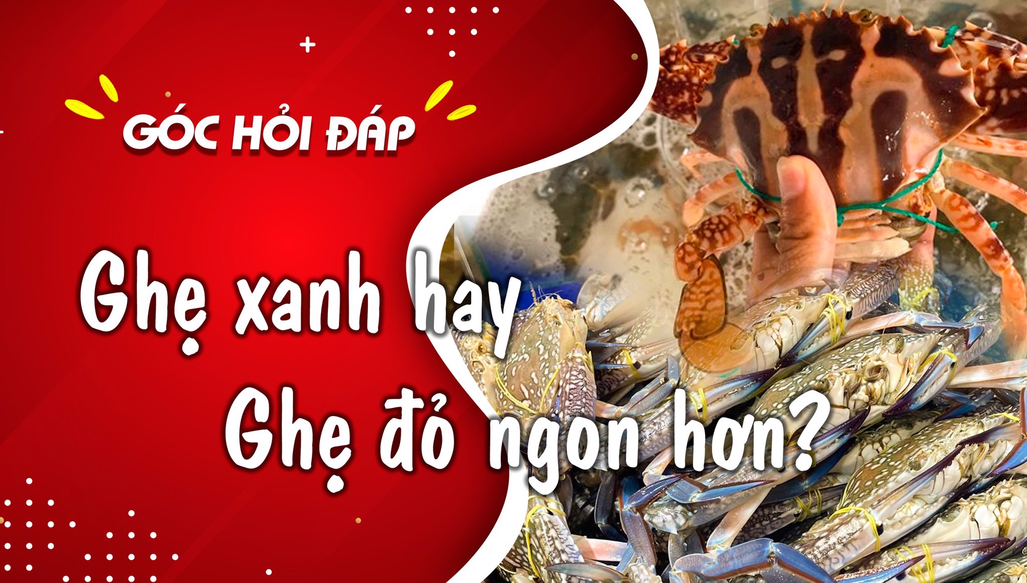 Phân biệt các loại ghẹ phổ biến hiện nay