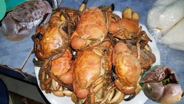 Cua đá biển - Đặc sản trứ danh được nhiều người yêu thích