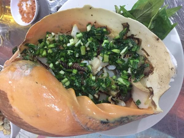 Ốc giác là ốc gì? Ốc giác giá bao nhiêu 1kg?