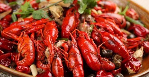 Tôm hùm đất - Loại tôm “nổi đình nổi đám” xứ sở Trung Hoa