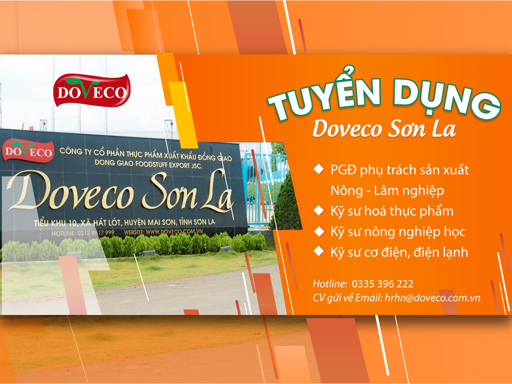 𝐃𝐎𝐕𝐄𝐂𝐎 𝐒𝐨̛𝐧 𝐋𝐚 𝐓𝐇𝐎̂𝐍𝐆 𝐁𝐀́𝐎 𝐓𝐔𝐘𝐄̂̉𝐍 𝐃𝐔̣𝐍𝐆 – DOVECO