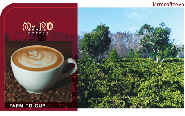 Giới thiệu – MrRo.Coffee