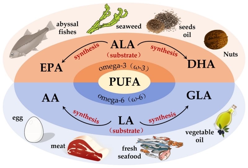 Tác dụng với sức khỏe của PUFAs là gì và PUFAs có ở thực phẩm nào ...